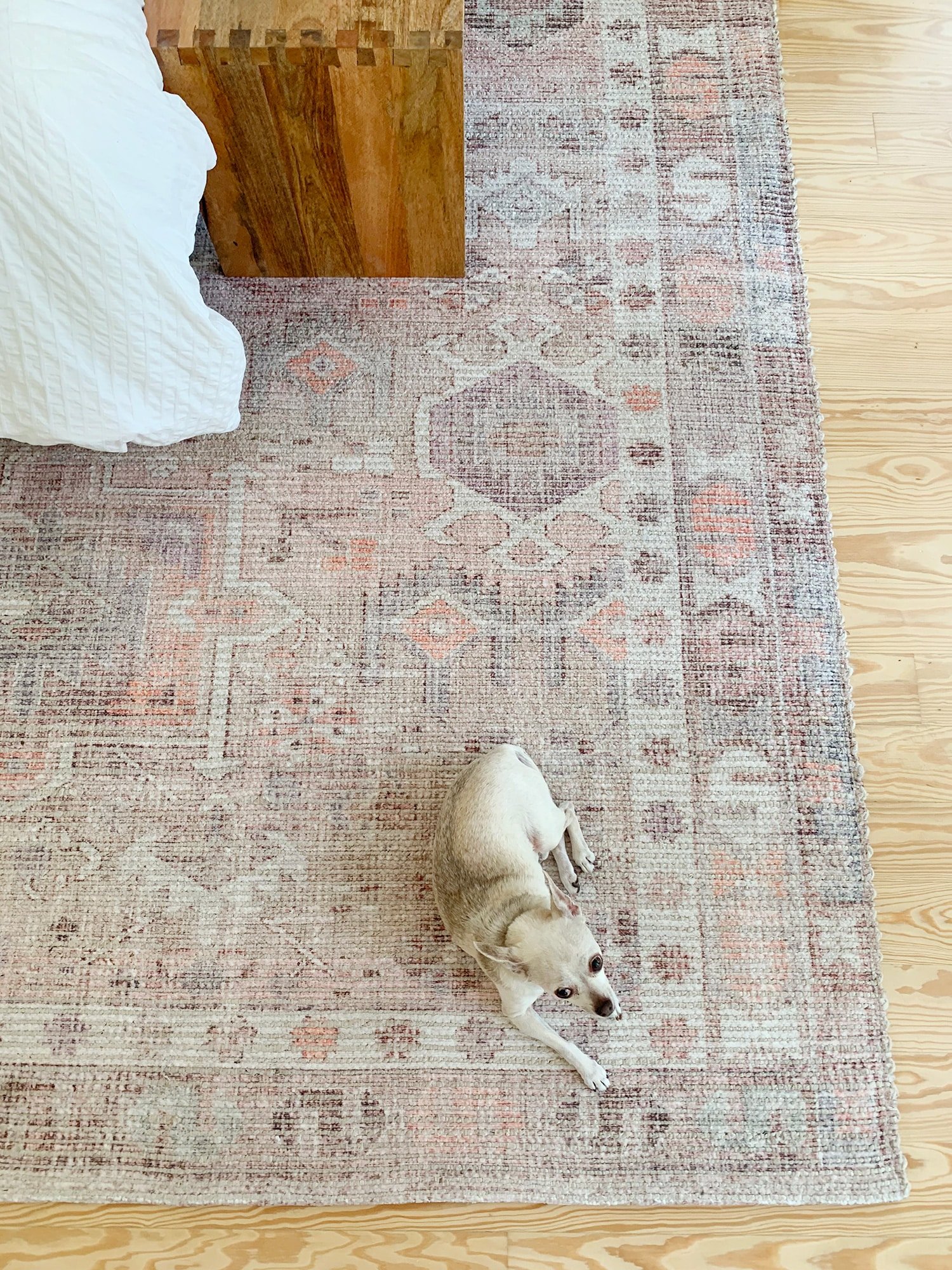 Rug Tips & The "Magic" Rug That Looks Good Everywhere | Young House Love