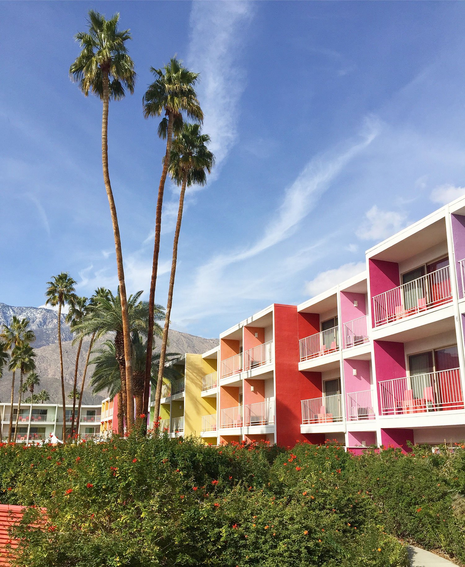 Things To Do In Palm Springs With Kids | Young House Love