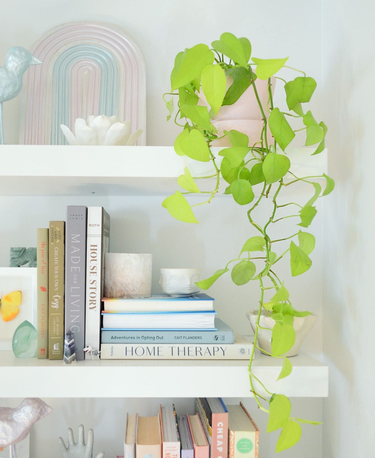 Neon Pothos - Plant Care Guide | Young House Love