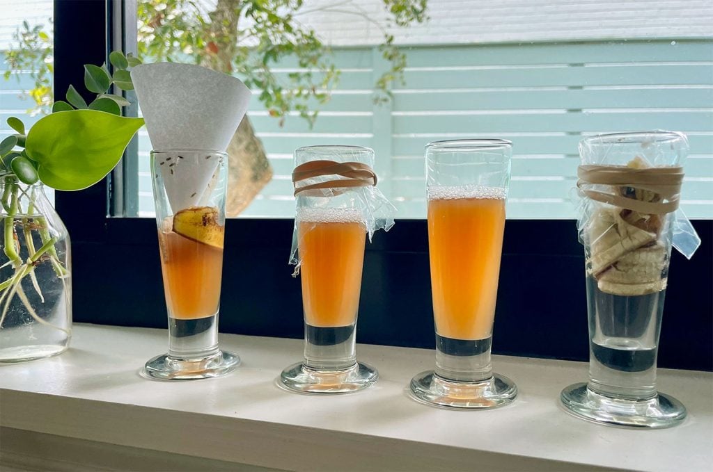 How To Get Rid Of Fruit Flies -The Best Tested Methods | Land Rush Homes