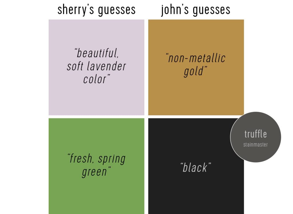 2025 Color of the Year - Everything We Know So Far... - Taite Floor
