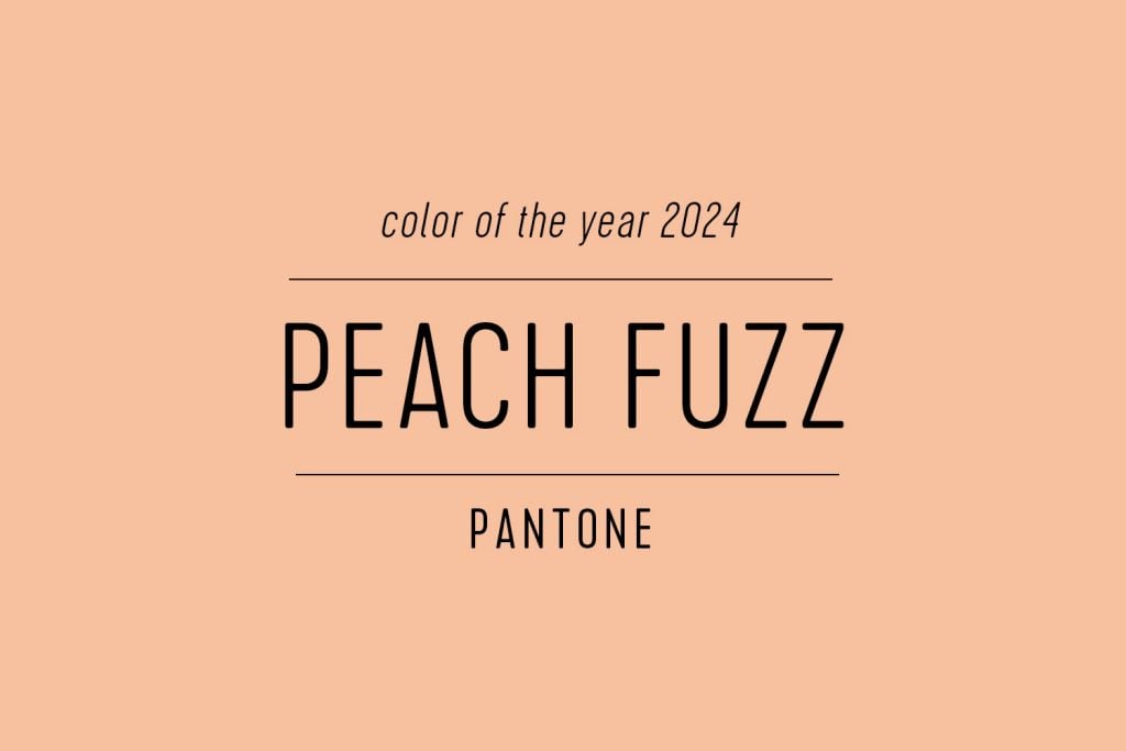 Every Color of the Year 2024 - All In One Place! | Young House Love