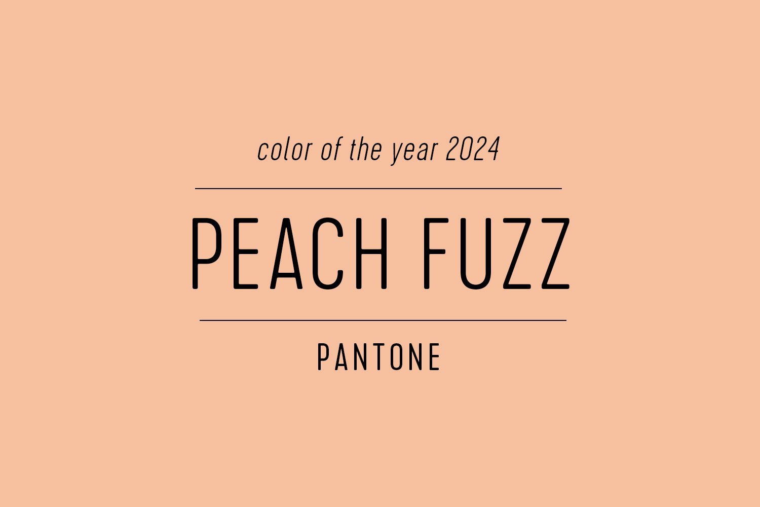 Every Color of the Year 2024 - All In One Place! | Young House Love