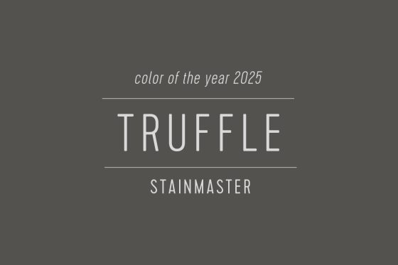 2025 Color of the Year - Everything We Know So Far... | Young House Love