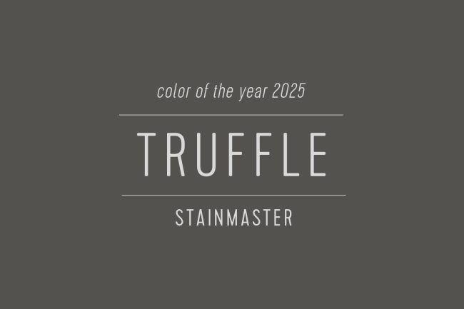 2025 Color of the Year - Everything We Know So Far... | Young House Love