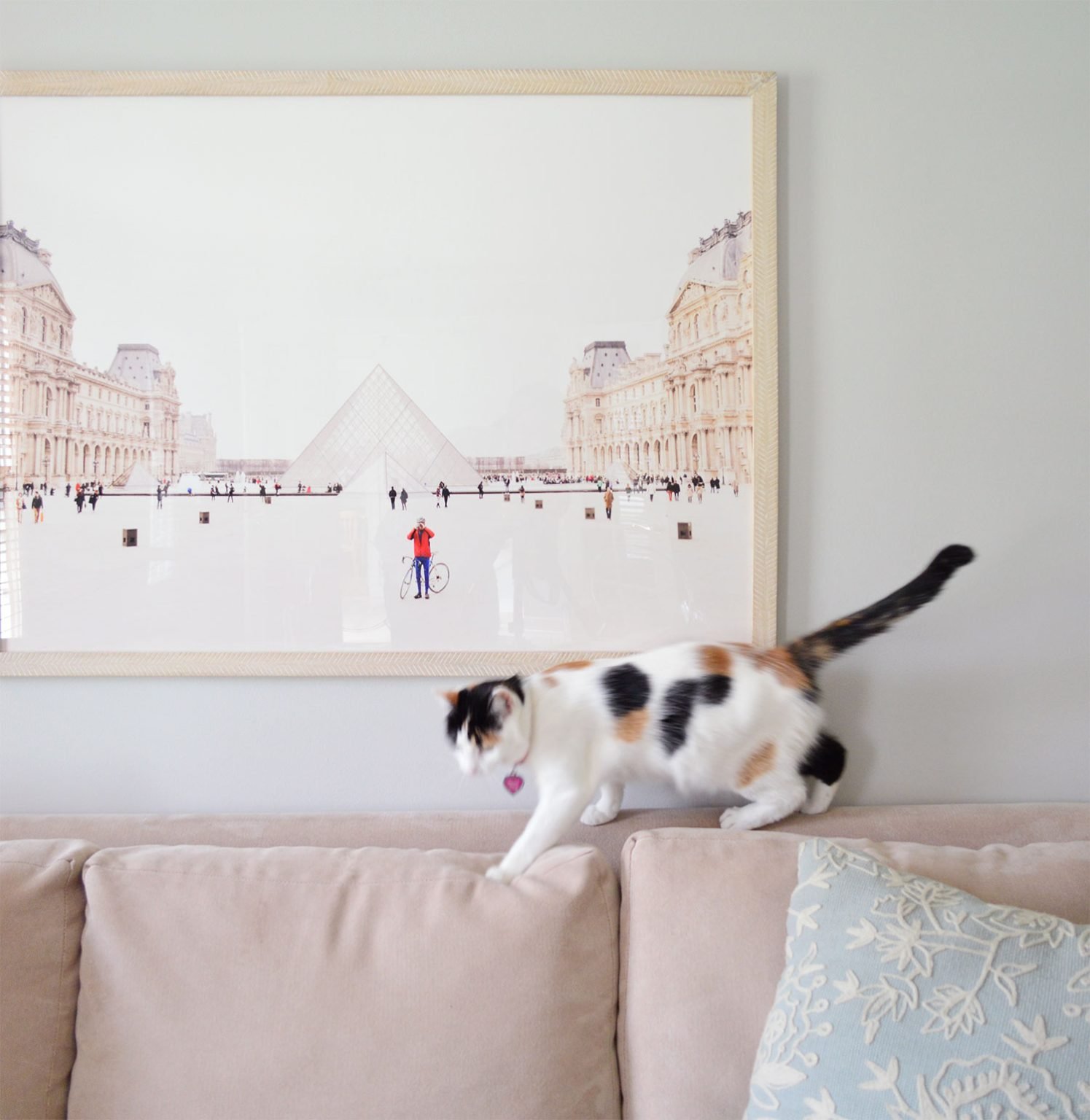 Boy Cat Names: 200 Names + Naming Tips | Young House Love