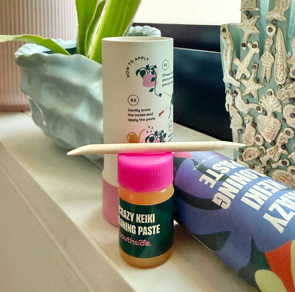 What Is Keiki Paste? And How To Use It On Your Plants | Young House Love