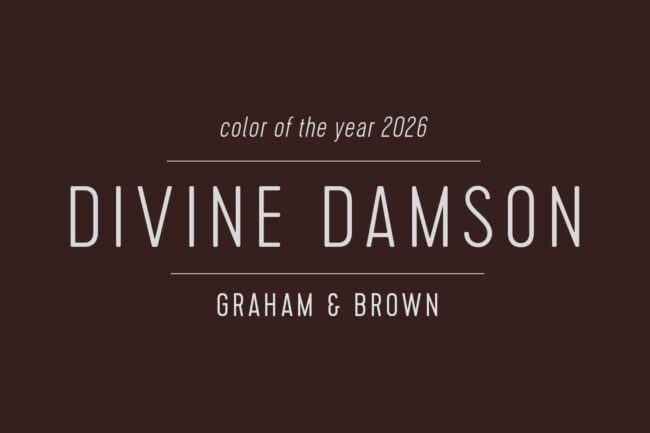 Every 2026 Color of the Year... So Far! | Young House Love