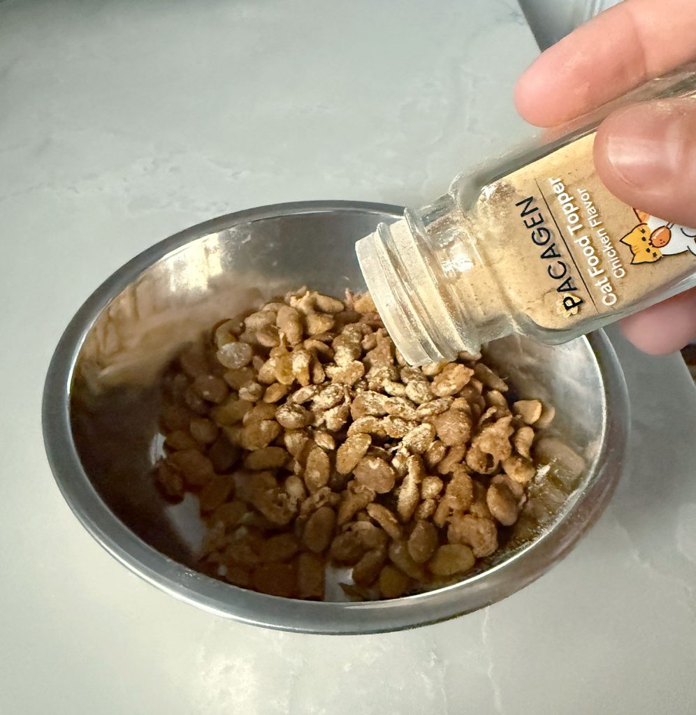 How To Get Rid Of Cat Allergies: What Worked For Me | Young House Love